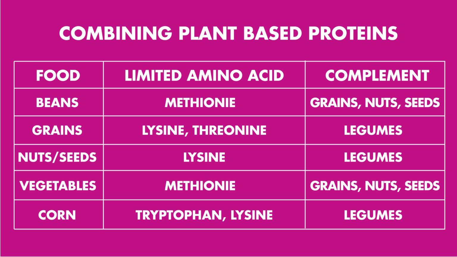 Everything You Need To Know About Plant Based Proteins | Blog - My Food Bag