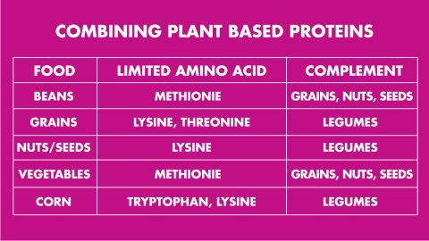 Everything You Need To Know About Plant Based Proteins | Blog - My Food Bag