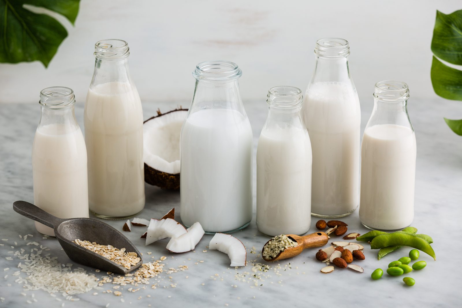 Milk Alternatives - How To Pick? | Blog - Fresh Start